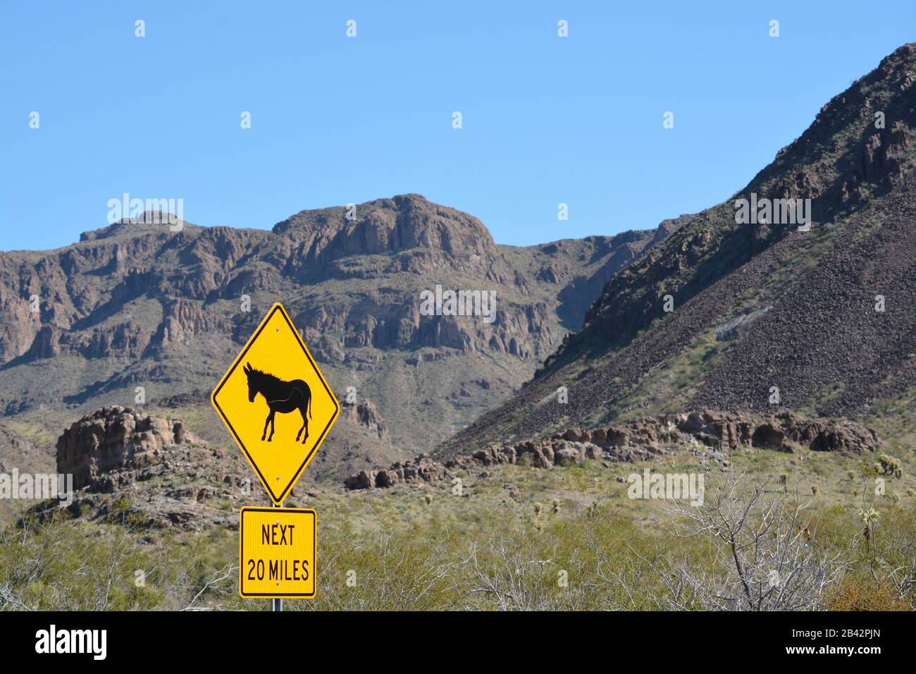 Wild Burros Sign in the Black Mountain Range, Sonoran Desert, Arizona ...