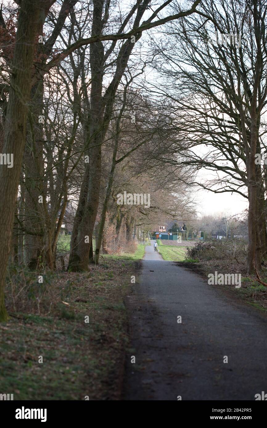 Road in german forest background stock photography high quality Stock ...