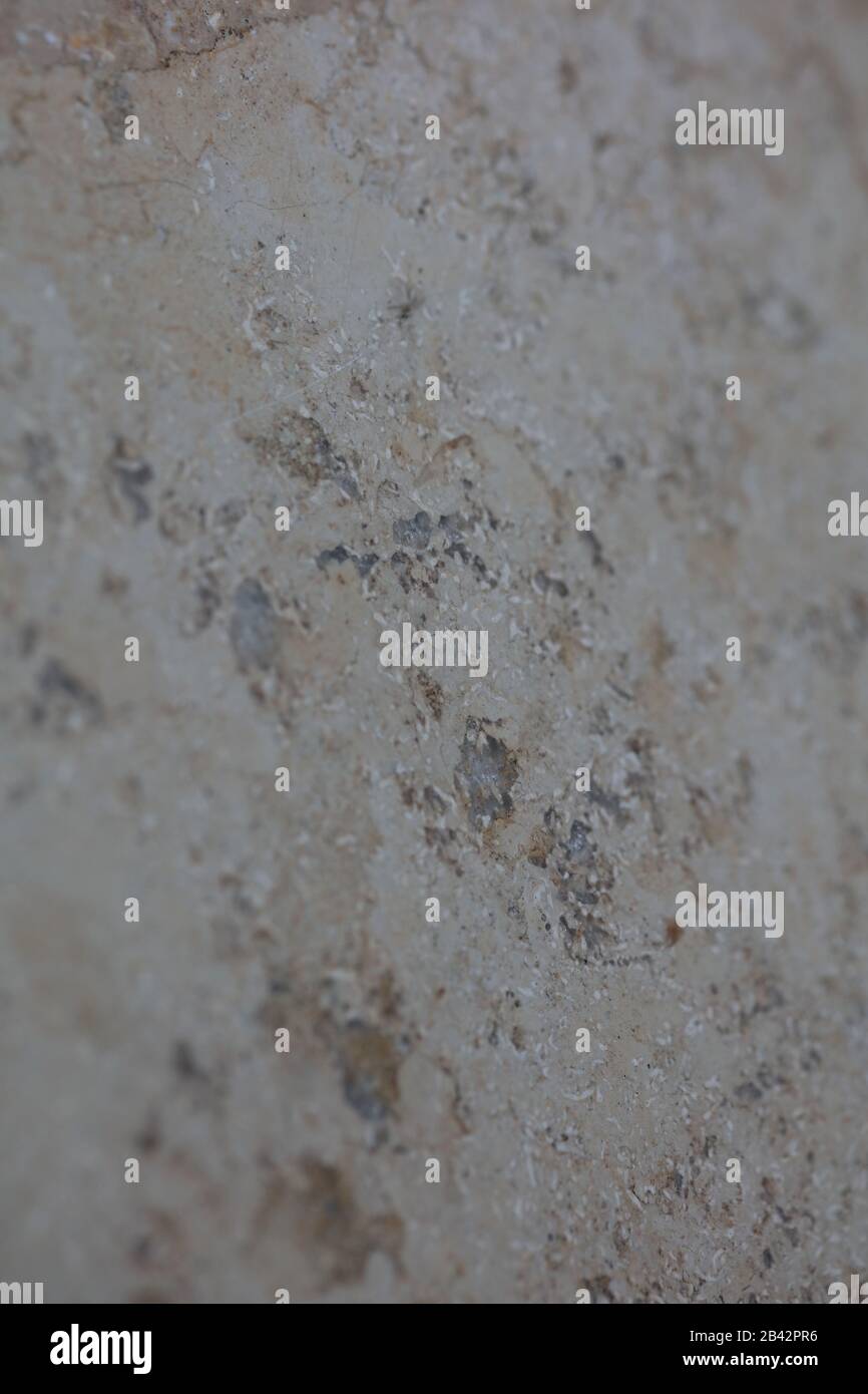 Cream marble surface macro background stock photography high quality ...