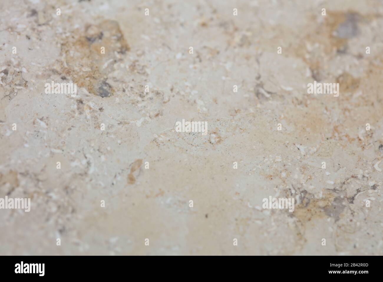 Cream marble surface macro background stock photography high quality ...