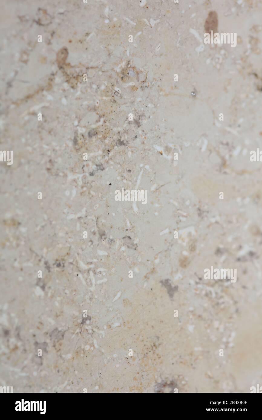 Cream marble surface macro background stock photography high quality ...