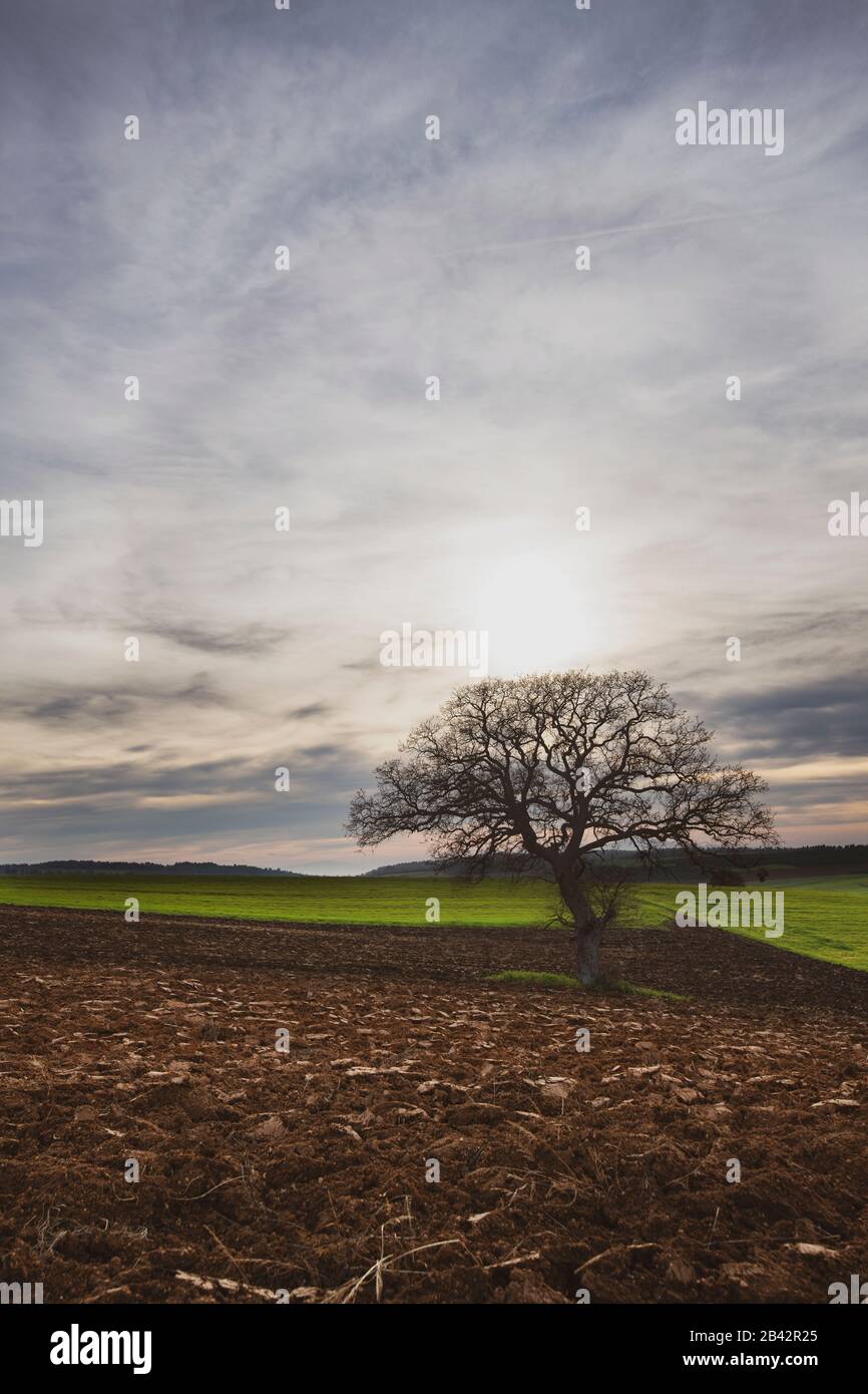 Hill without tree hi-res stock photography and images - Alamy