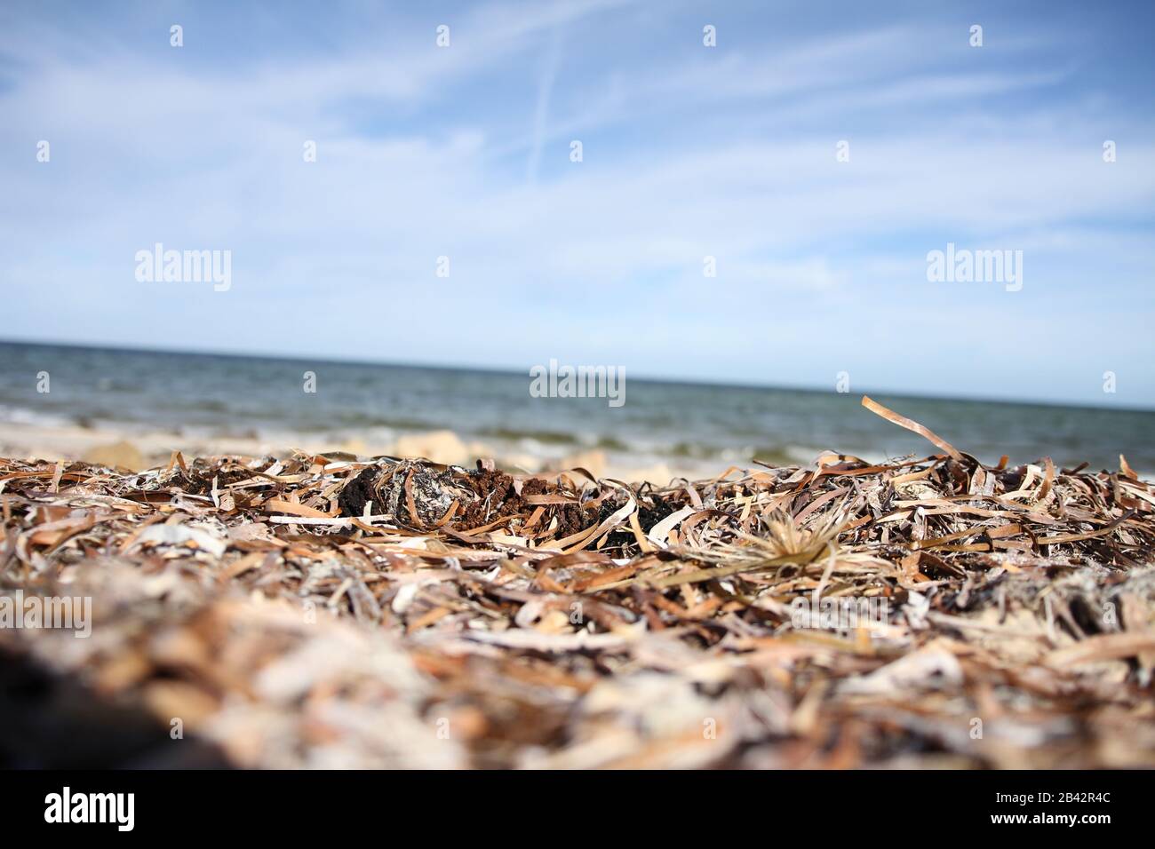 Dead crop australia hi-res stock photography and images - Alamy