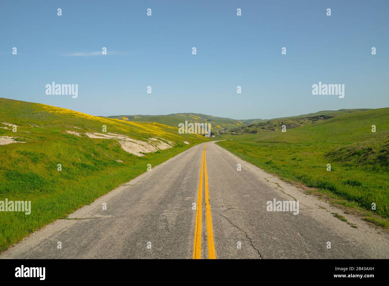 Dual lane path across beautiful hills with blossom flowers. California ...