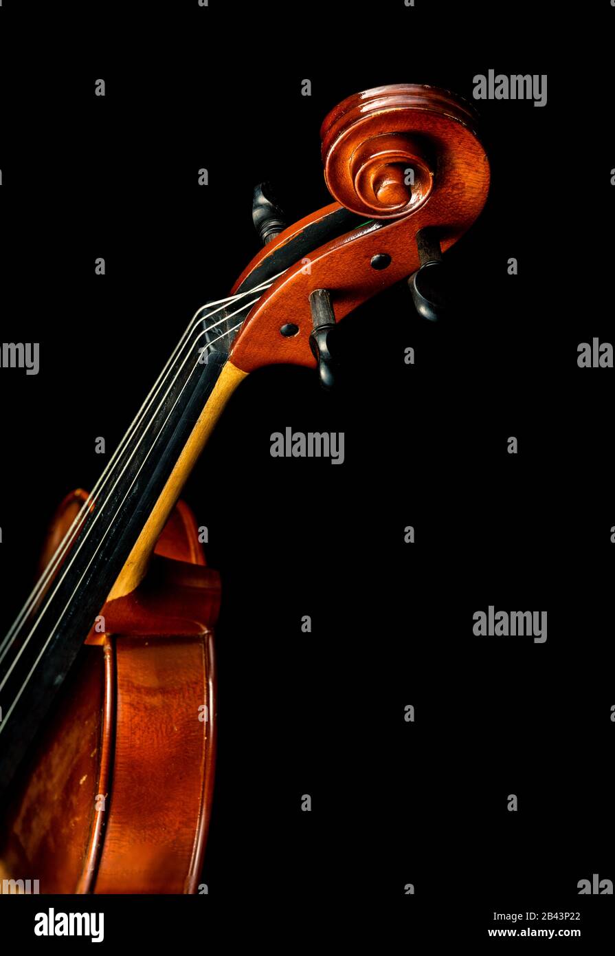 Violin front view isolated on hi-res stock photography and images - Alamy