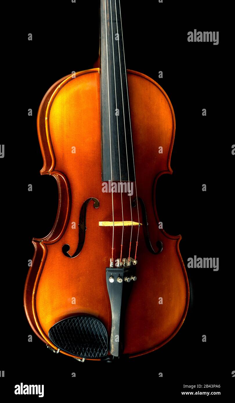 Violin front view isolated on hi-res stock photography and images - Alamy