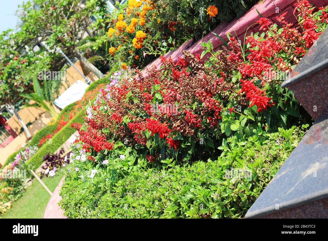 Park clean hi-res stock photography and images - Alamy