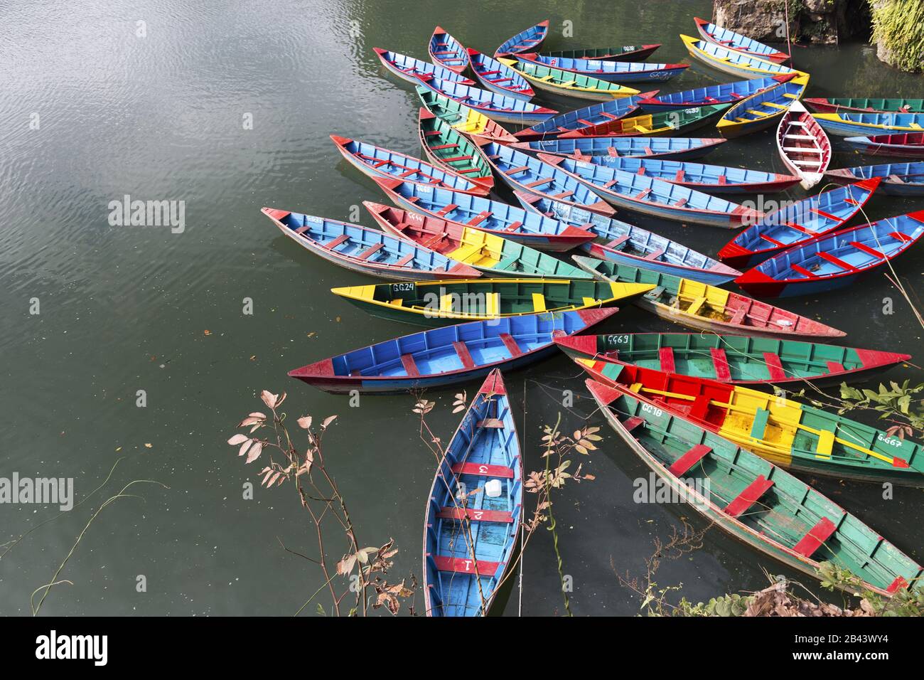 Group of multi colored Fishing Boats aerial view on fresh water Phewa ...