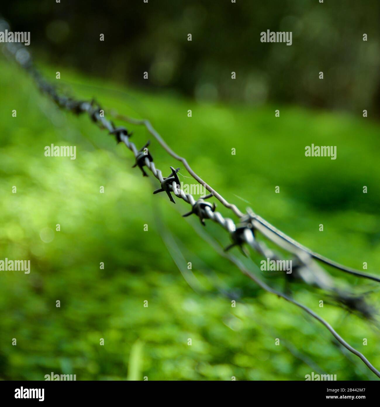 Yorke valley hi-res stock photography and images - Alamy