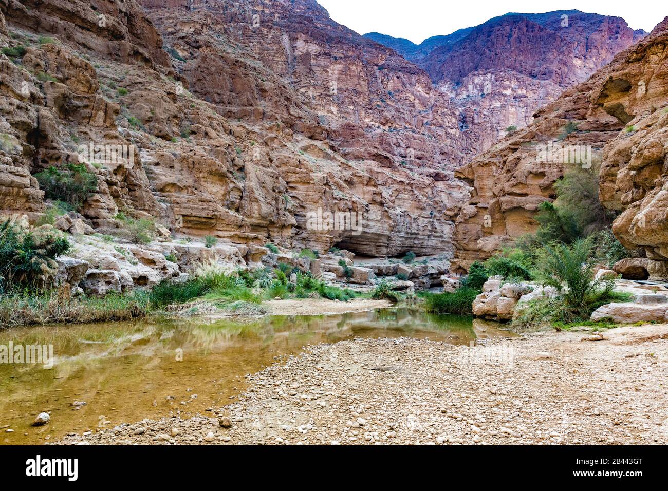 Wadi Shab river canyon with rocky cliffs and green water springs ...