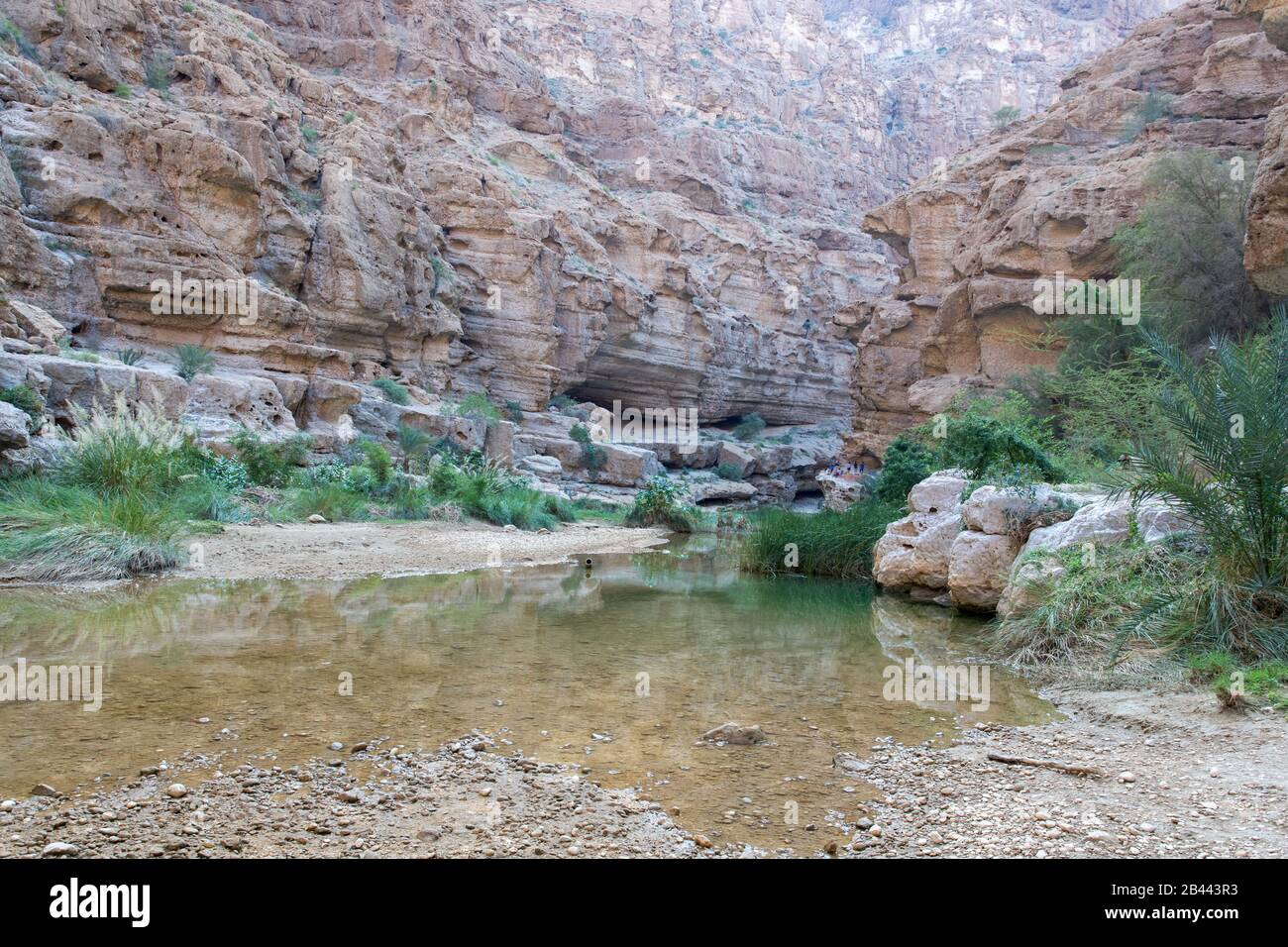 Wadi Shab river canyon with rocky cliffs and green water springs ...