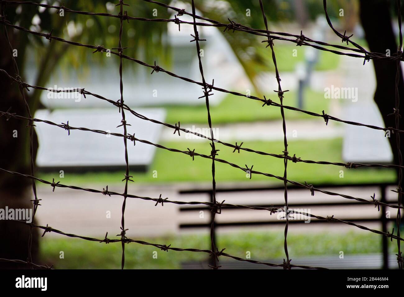 Thorn fence hi-res stock photography and images - Alamy
