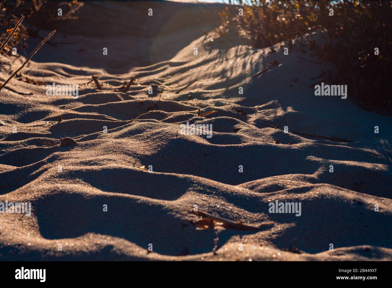 Sun light hitting the beach sand during a sunset Stock Photo - Alamy