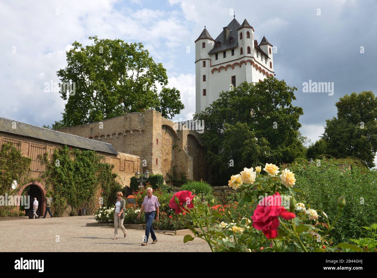 Schloss eltville hi-res stock photography and images - Alamy