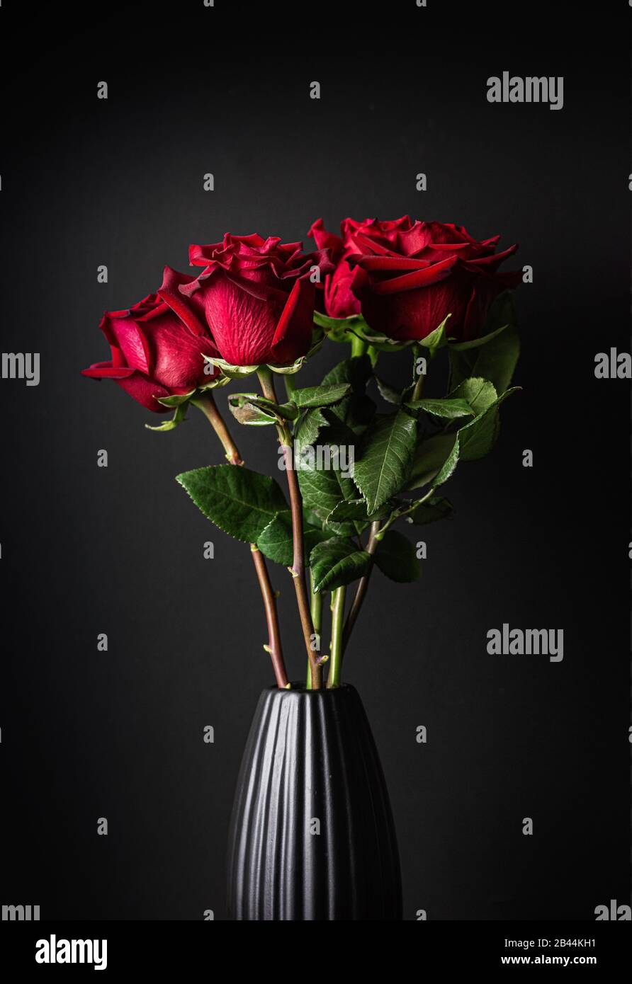 Beautiful bouquet of red roses in a black vase. Black background. Close ...