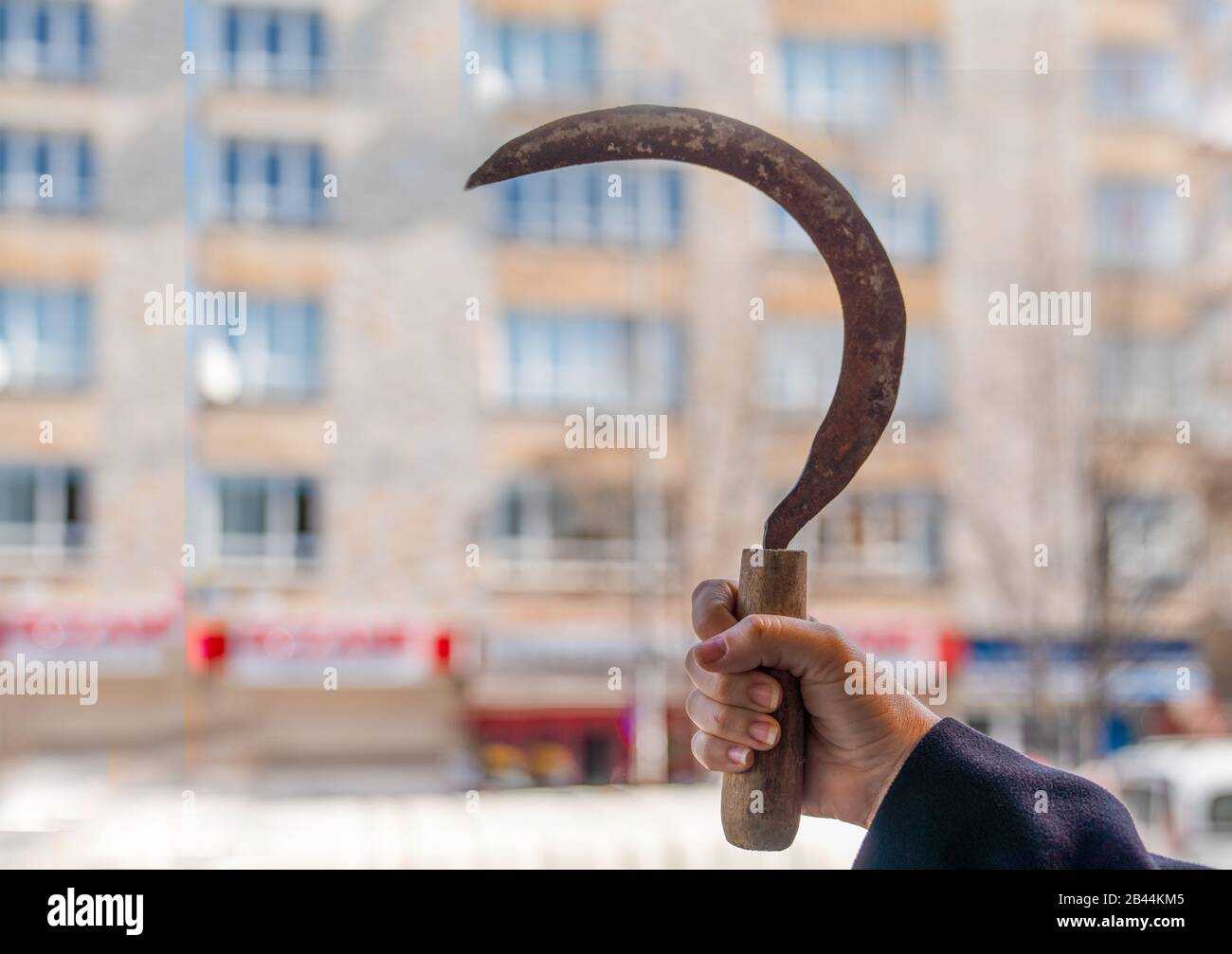 Sickle harvesting hi-res stock photography and images - Alamy