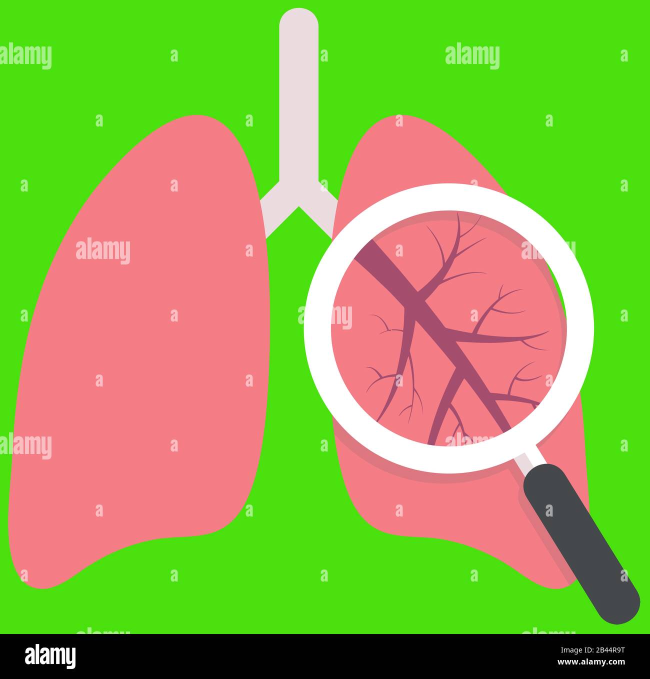 Respiratory system research hi-res stock photography and images - Alamy