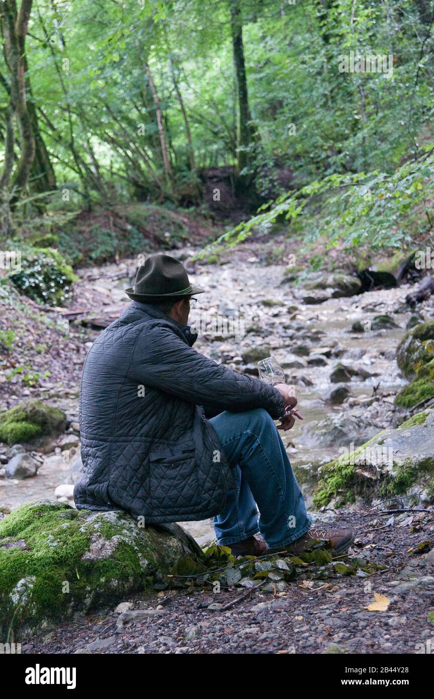 Old man of the forest hi-res stock photography and images - Alamy
