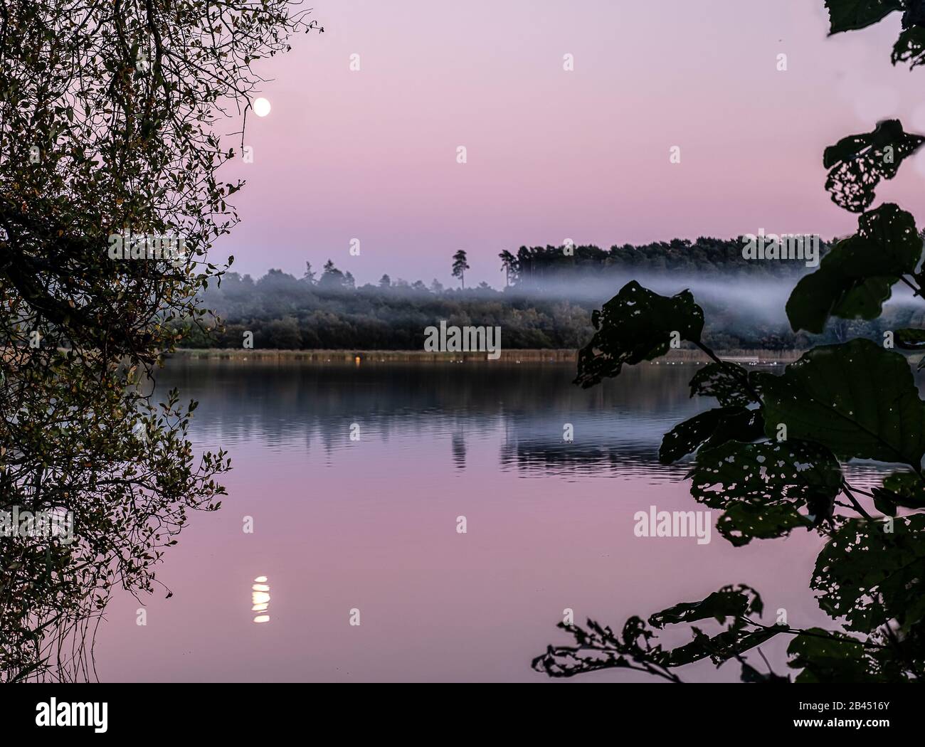 Sunset at Frensham ponds Stock Photo - Alamy