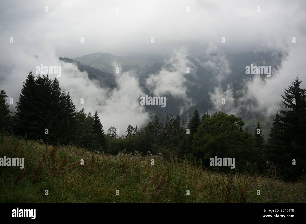 Hiking in french alps forest for nature tourism and vacation Stock ...