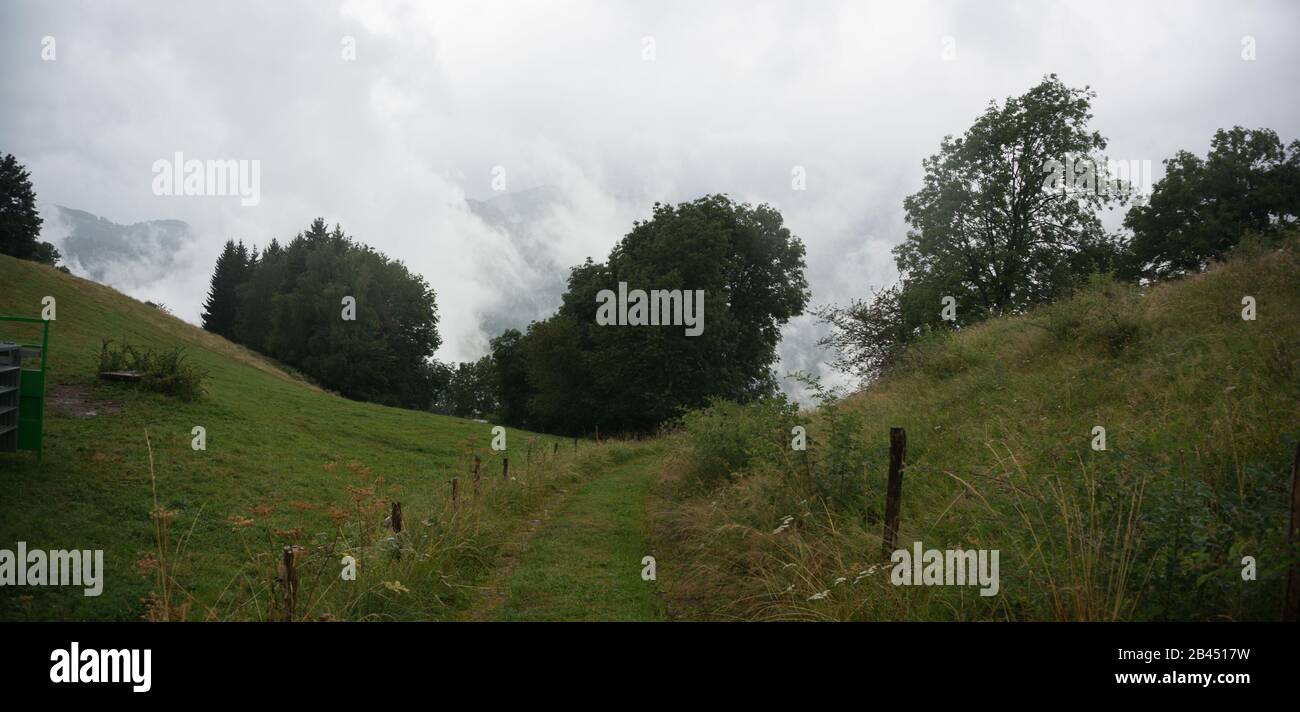 Hiking in french alps forest for nature tourism and vacation Stock ...
