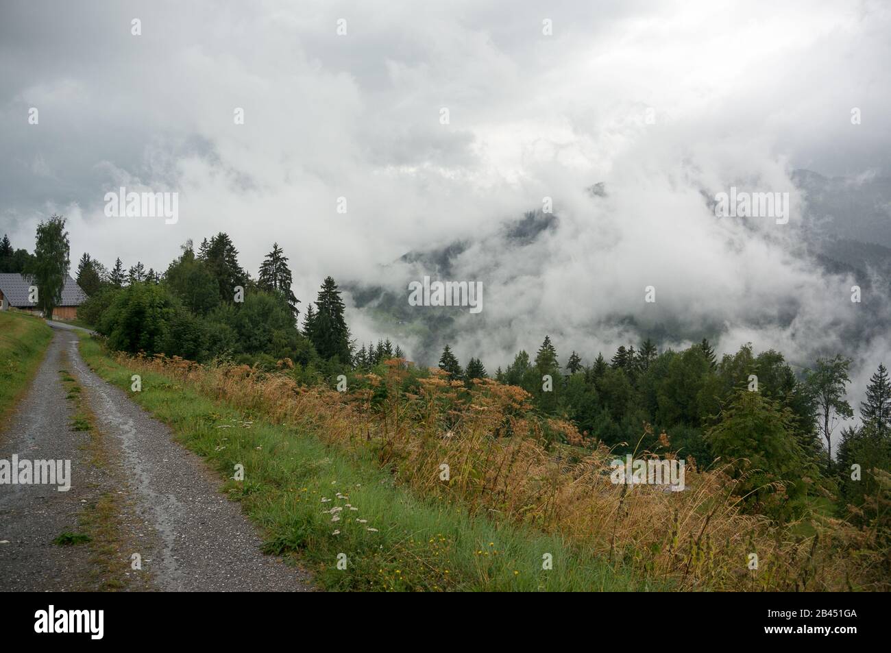Hiking in french alps forest for nature tourism and vacation Stock ...