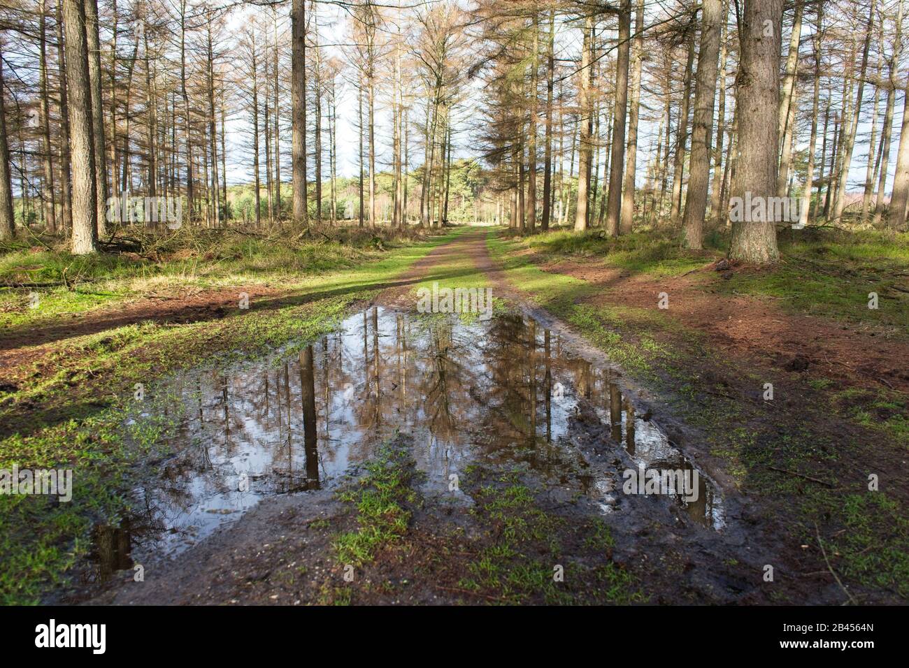 Planken hi-res stock photography and images - Alamy