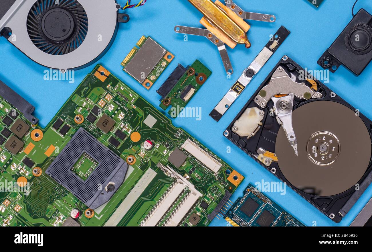 Parts of a modern computer. The insides of a laptop on a blue ...