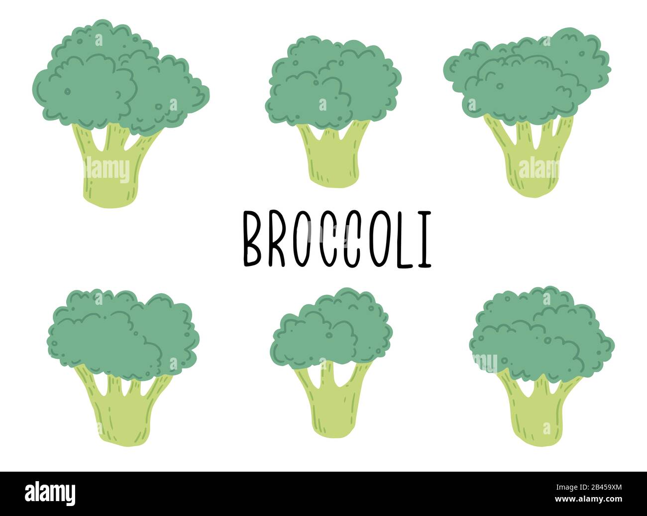 Broccoli vector illustration isolated set. Concept of healthy food ...