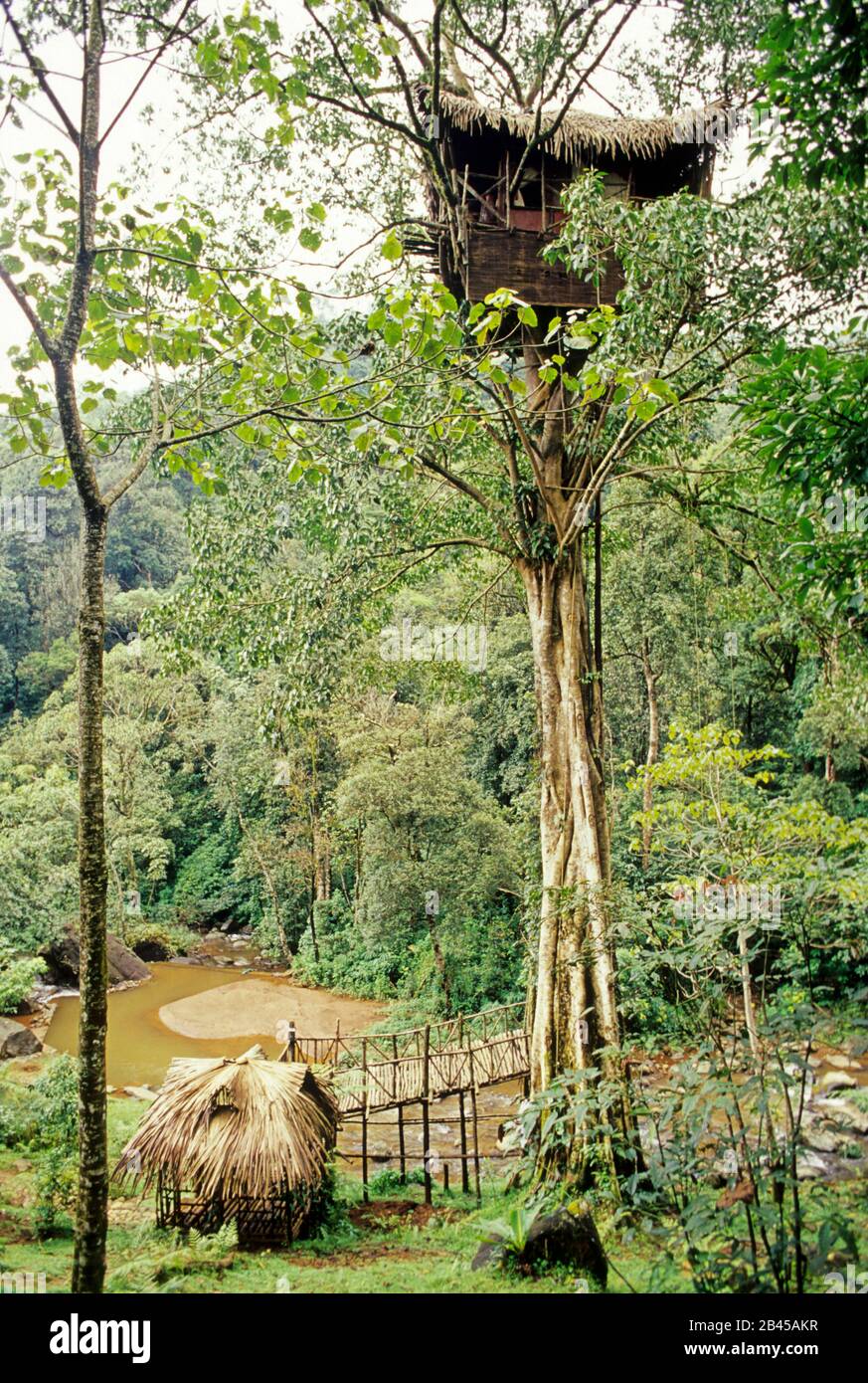 tree top house, green magic nature resort, lakkidi, Lakkidi Village ...