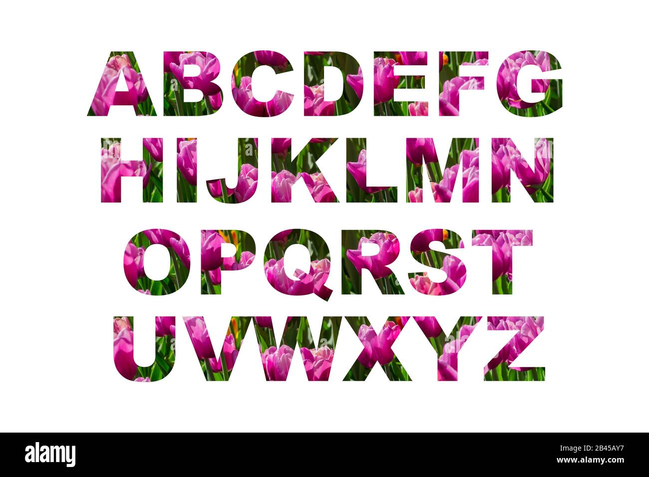 Lettering flora set hi-res stock photography and images - Alamy