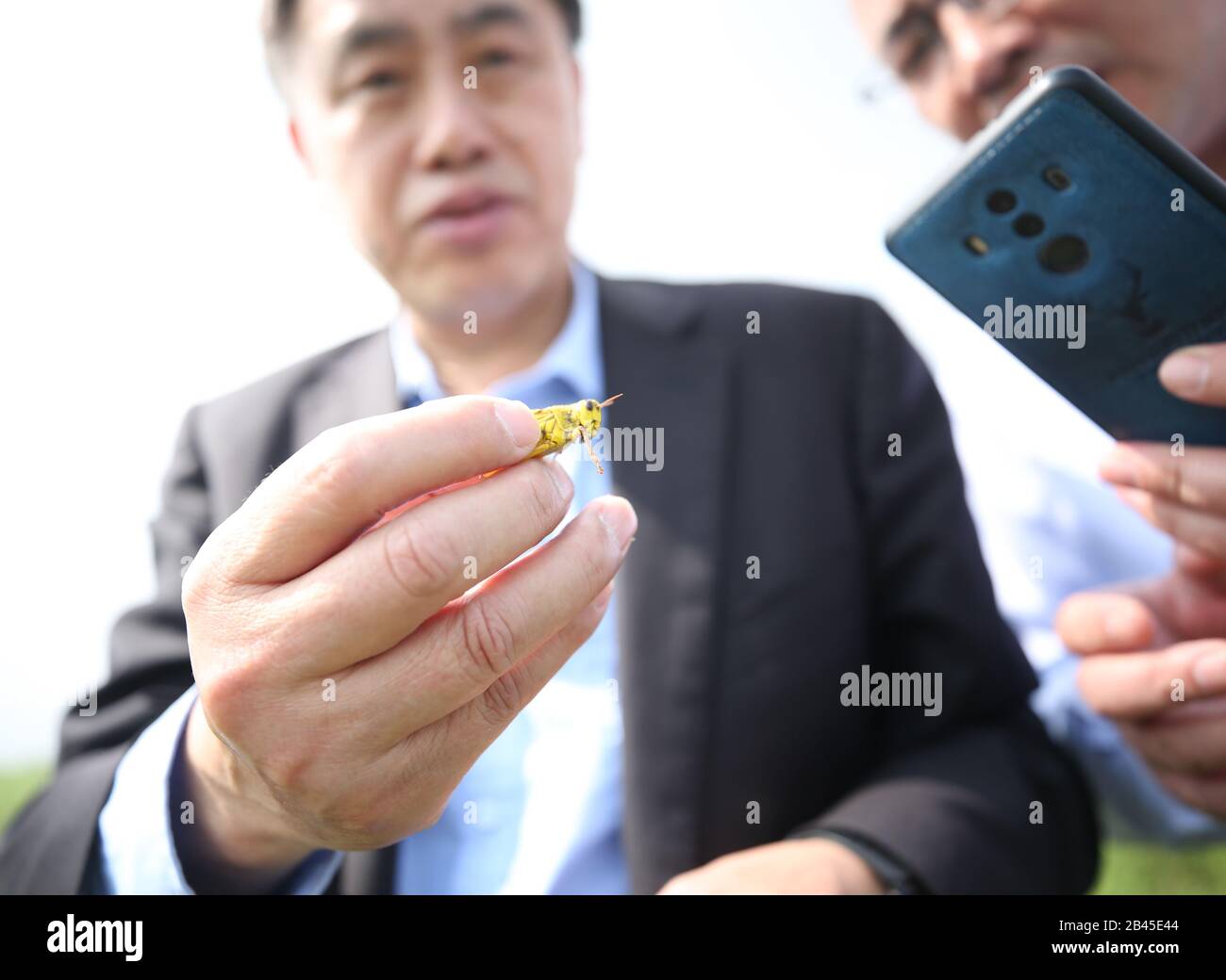 Islamabad, Pakistan. 2nd Mar, 2020. Chinese expert Wang Fengle shows a ...