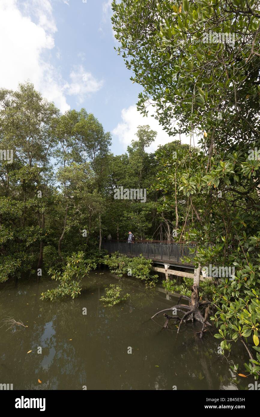 Sungei Buloh Wetland Reserve, Singapore Stock Photo - Alamy