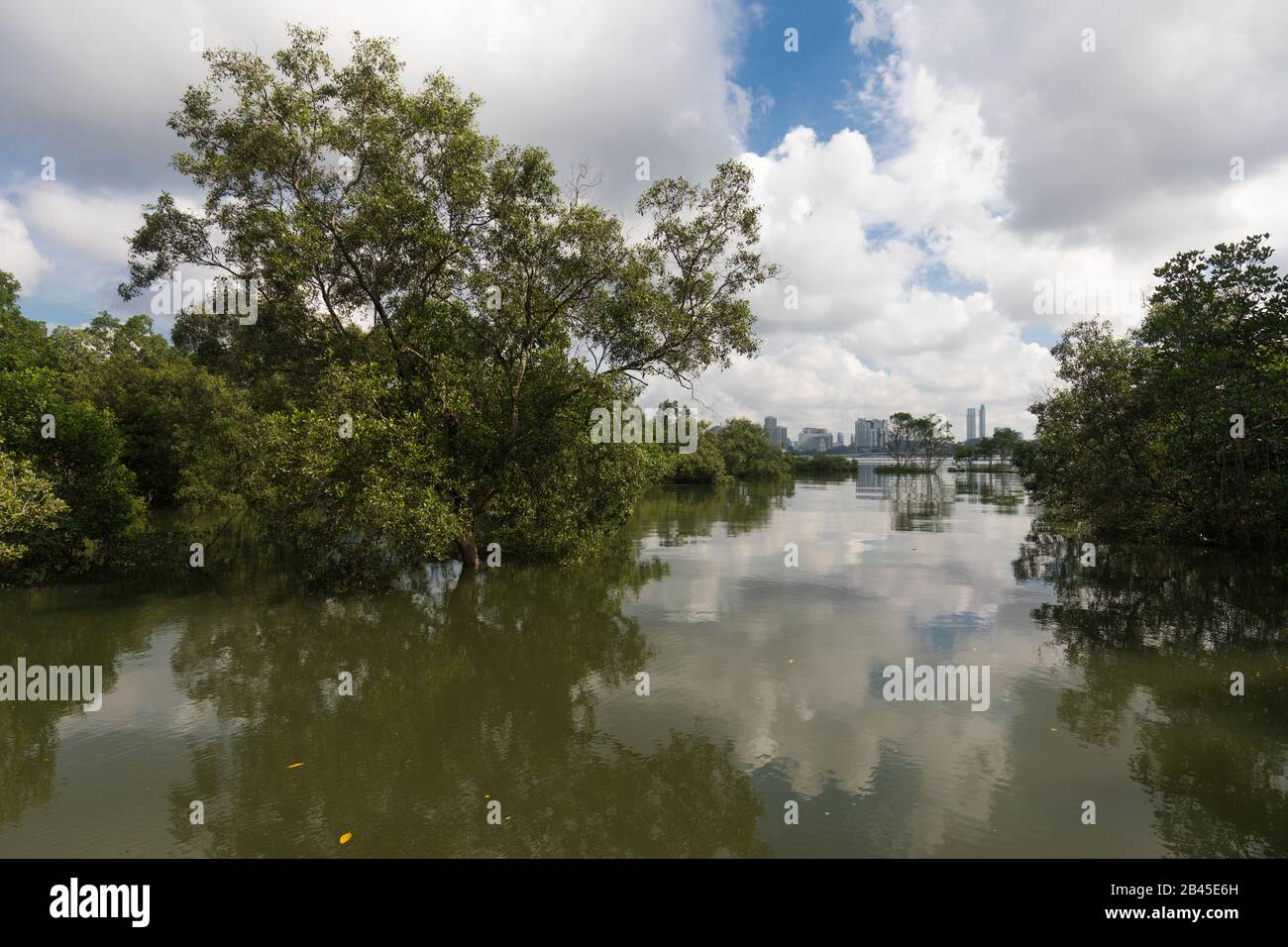 Sungei Buloh Wetland Reserve, Singapore Stock Photo - Alamy