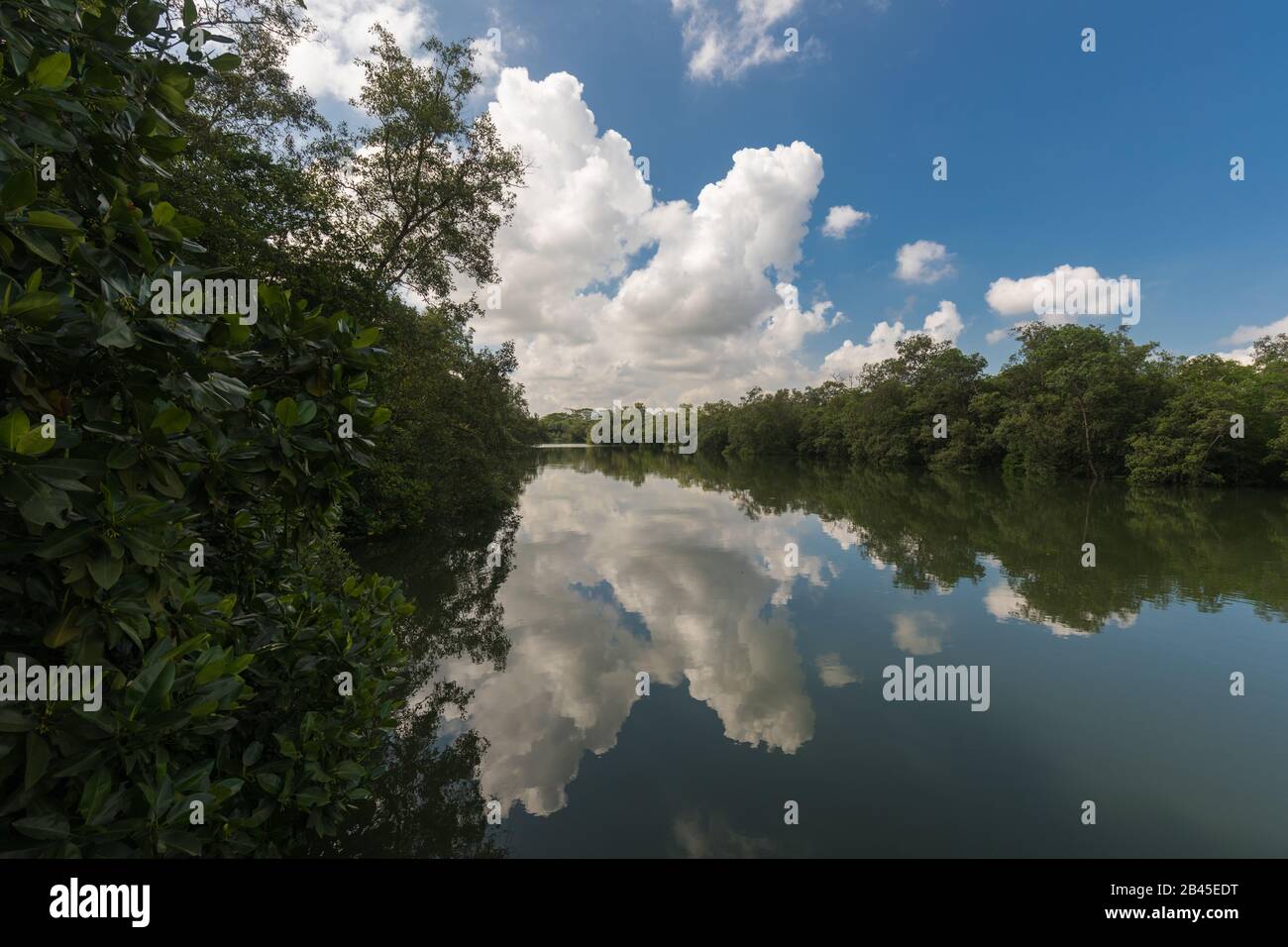 Sungei Buloh Wetland Reserve, Singapore Stock Photo - Alamy