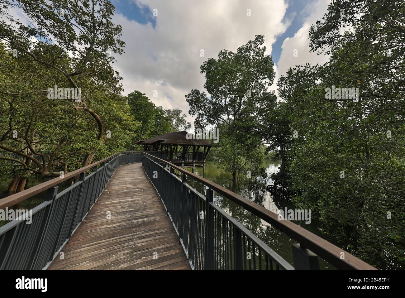 Sungei Buloh Wetland Reserve, Singapore Stock Photo - Alamy