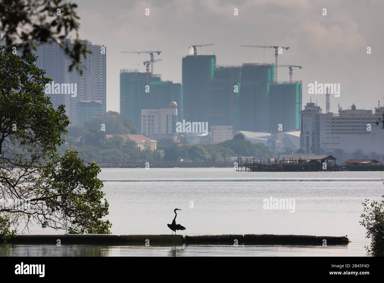 Sungei Buloh Wetland Reserve, Singapore Stock Photo - Alamy