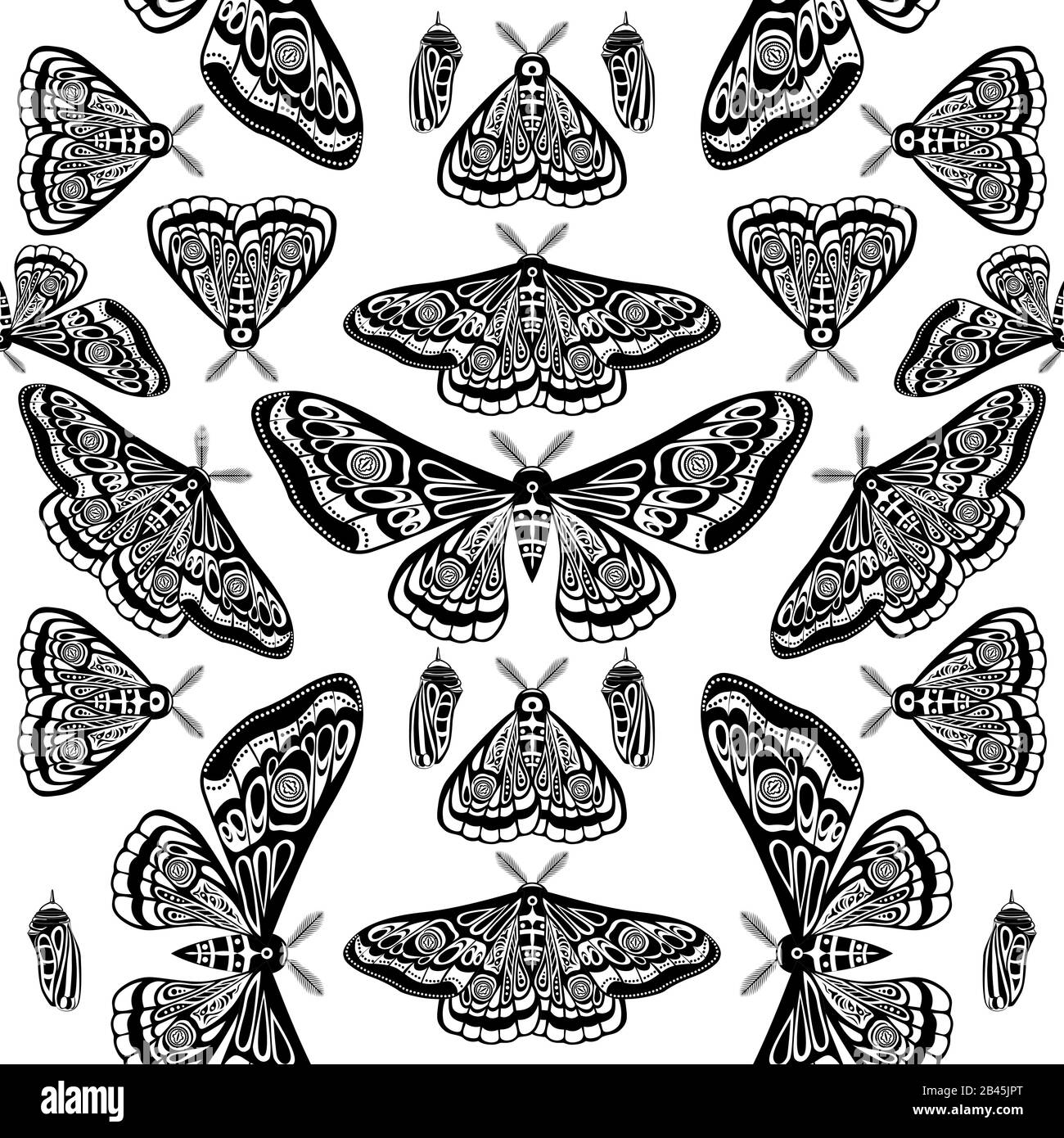 Night moth, butterfly pupa. Vector illustration. Seamless pattern Stock ...