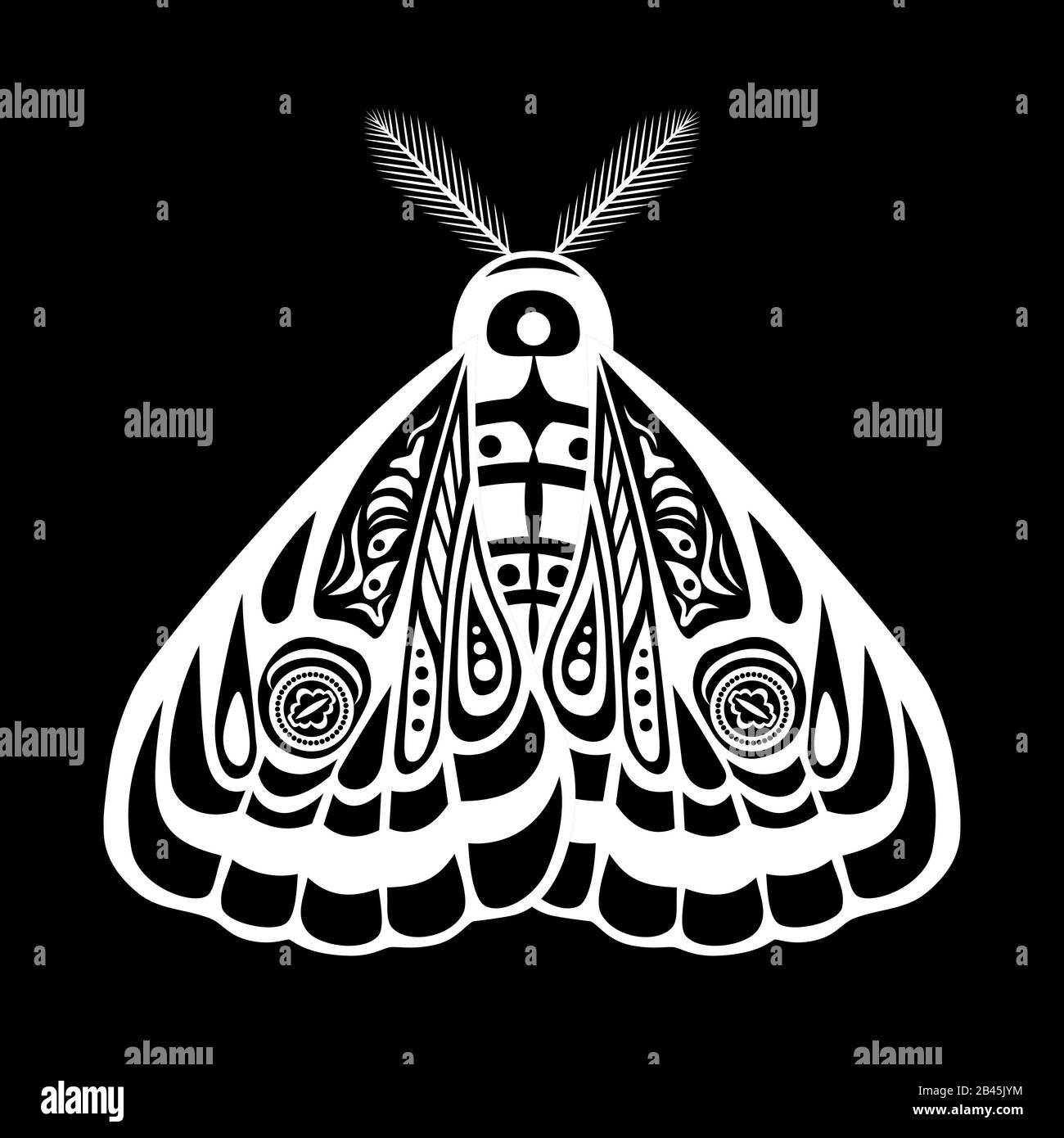 Night moth, butterfly. Vector illustration. Closed wings. Design ...