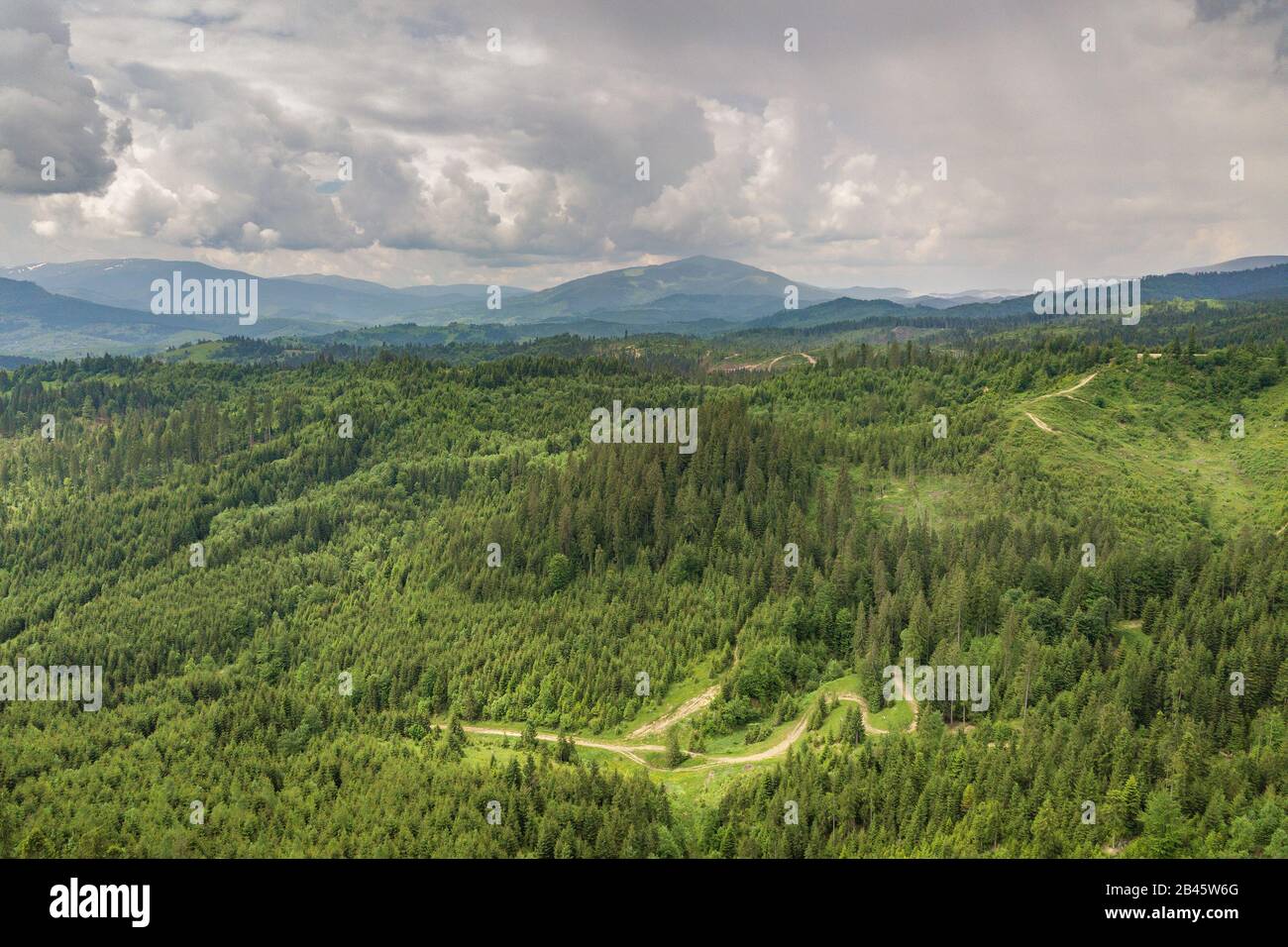 Foreston hi-res stock photography and images - Alamy