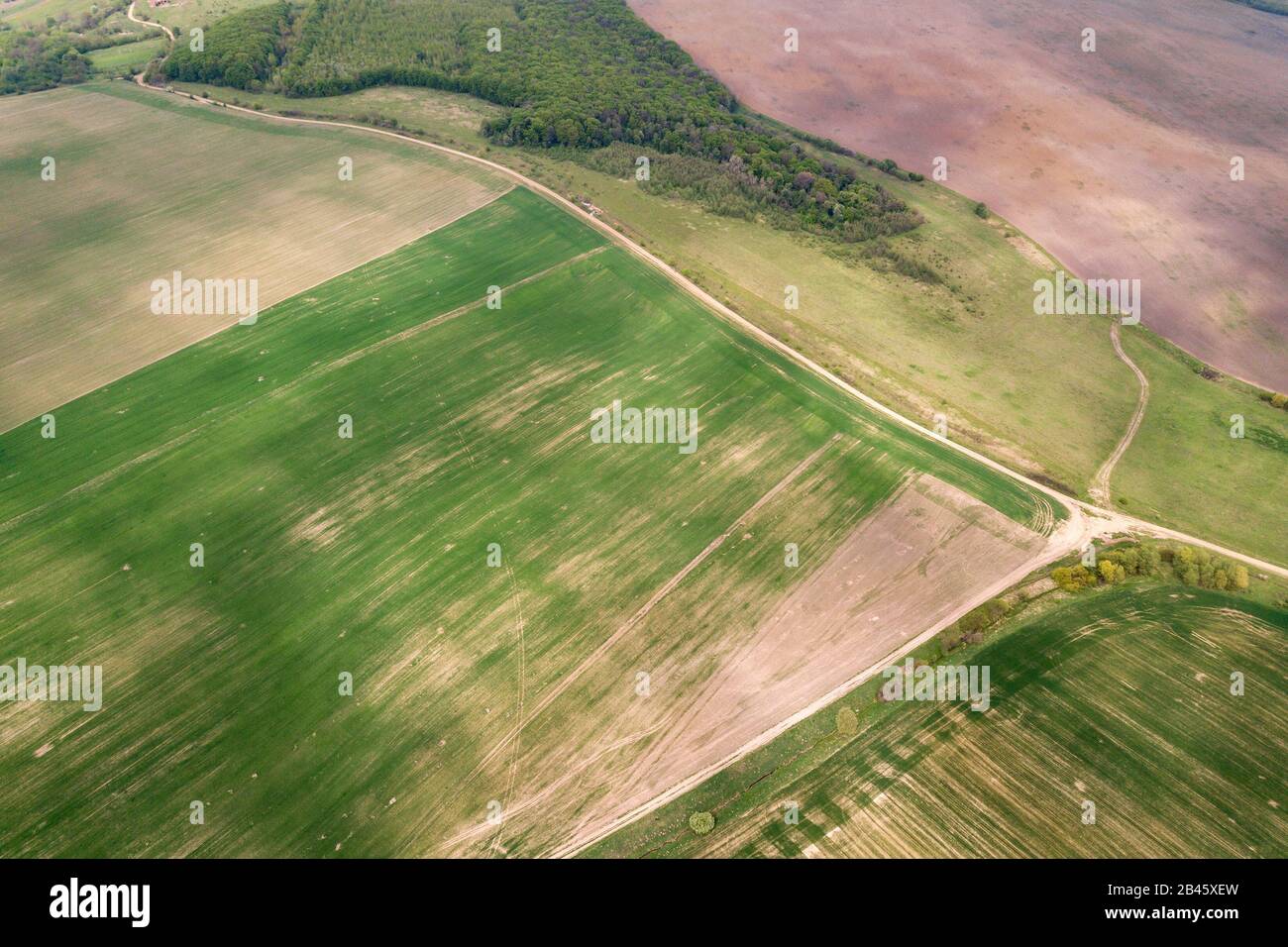 Aerial view of green agriculture fields in spring with fresh vegetation ...