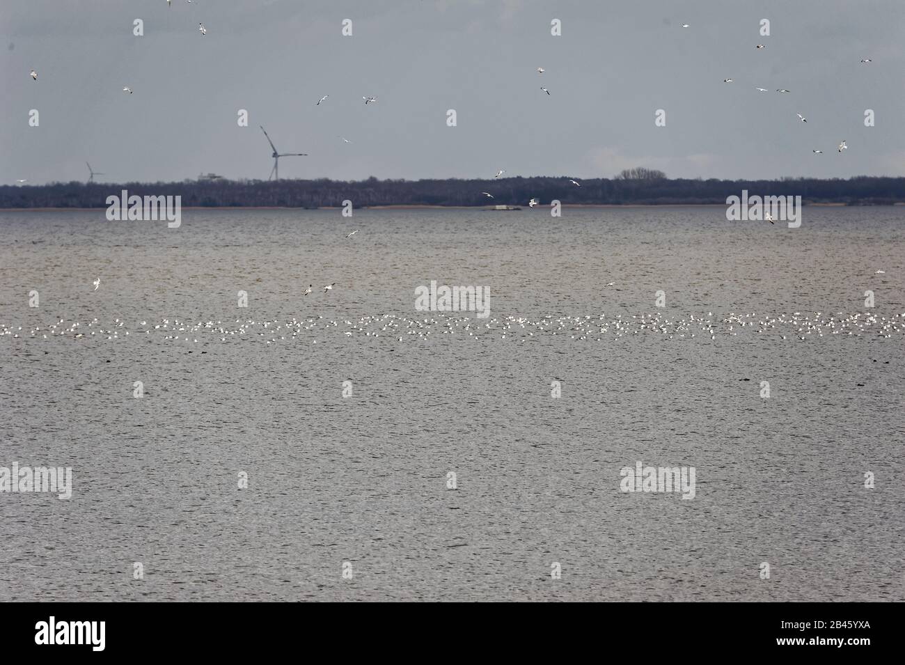 Steinhuder meer reflektion hi-res stock photography and images - Alamy