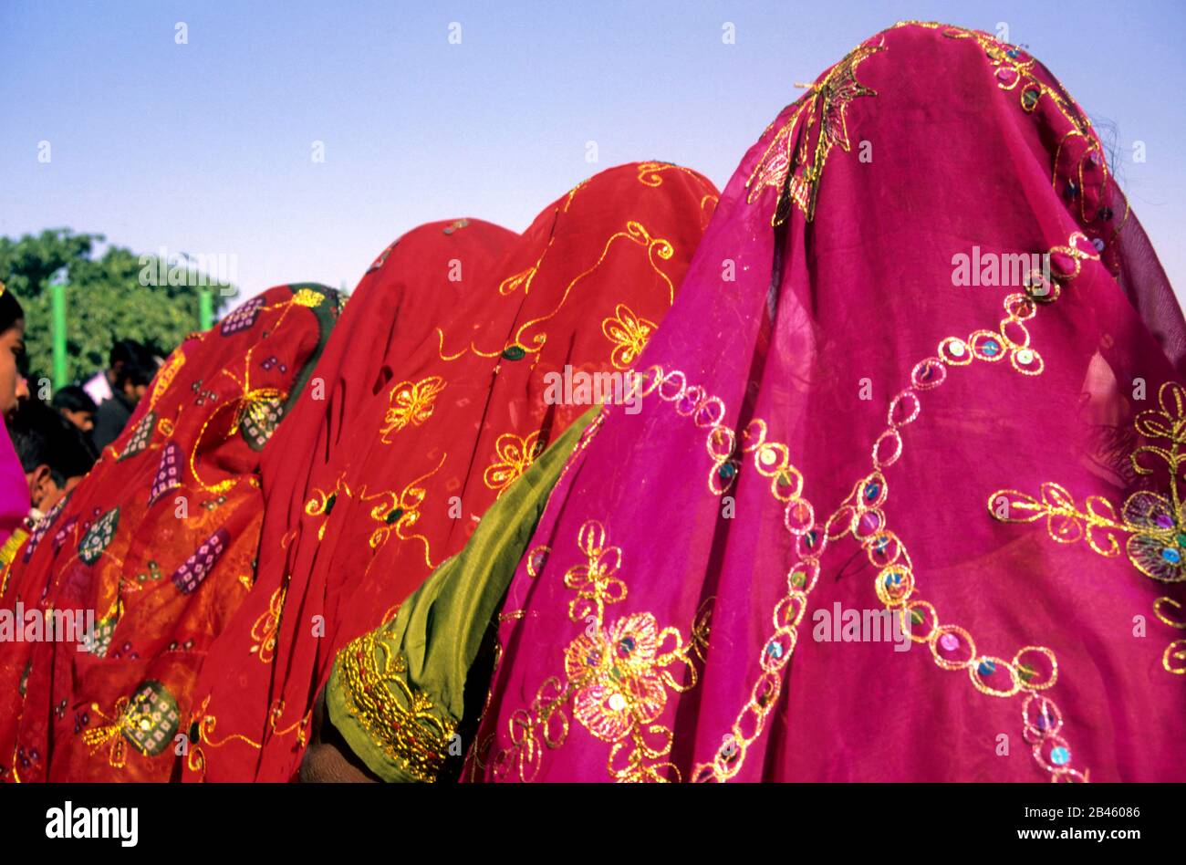 Ghunghat High Resolution Stock Photography and Images - Alamy