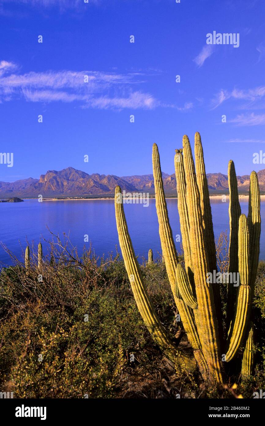 Mexico reise hi-res stock photography and images - Alamy