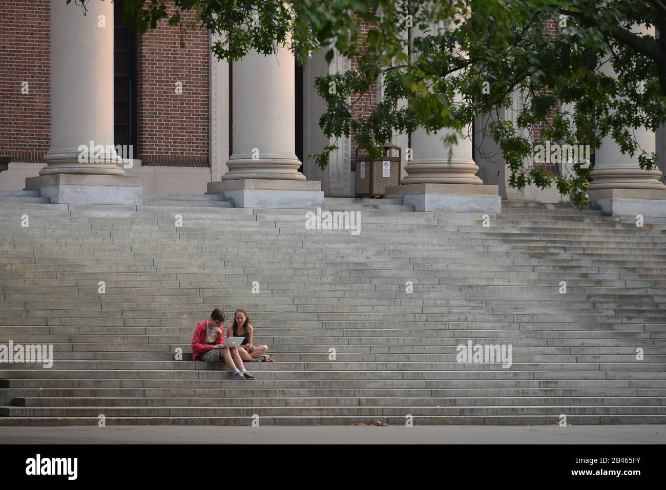 Harry elkins widener memorial library hi-res stock photography and ...