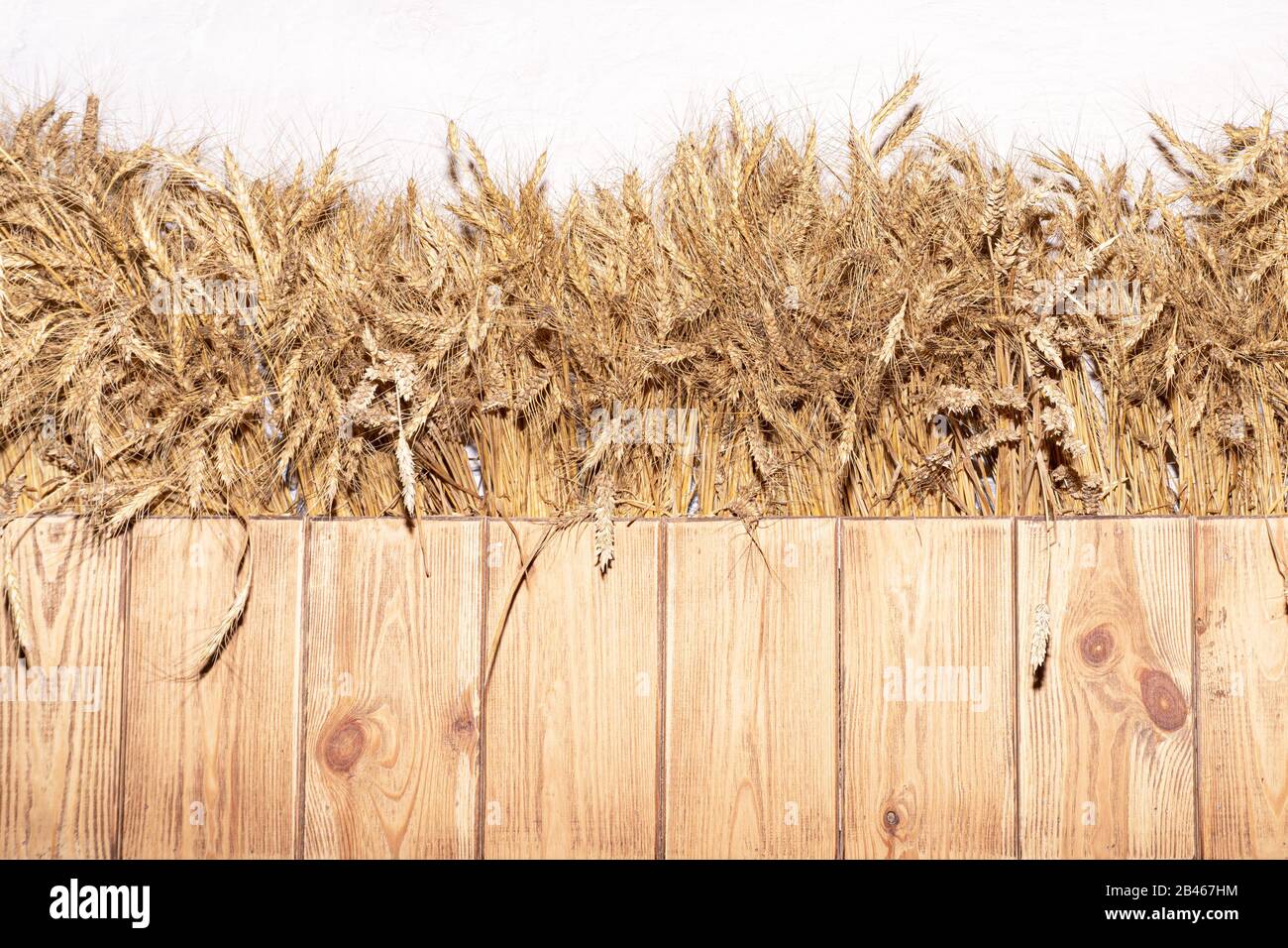 Wheat design white wall Stock Photo - Alamy