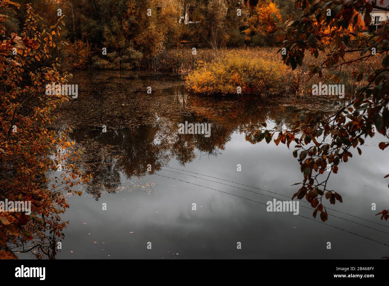 autumn in the woods by the pond Stock Photo - Alamy