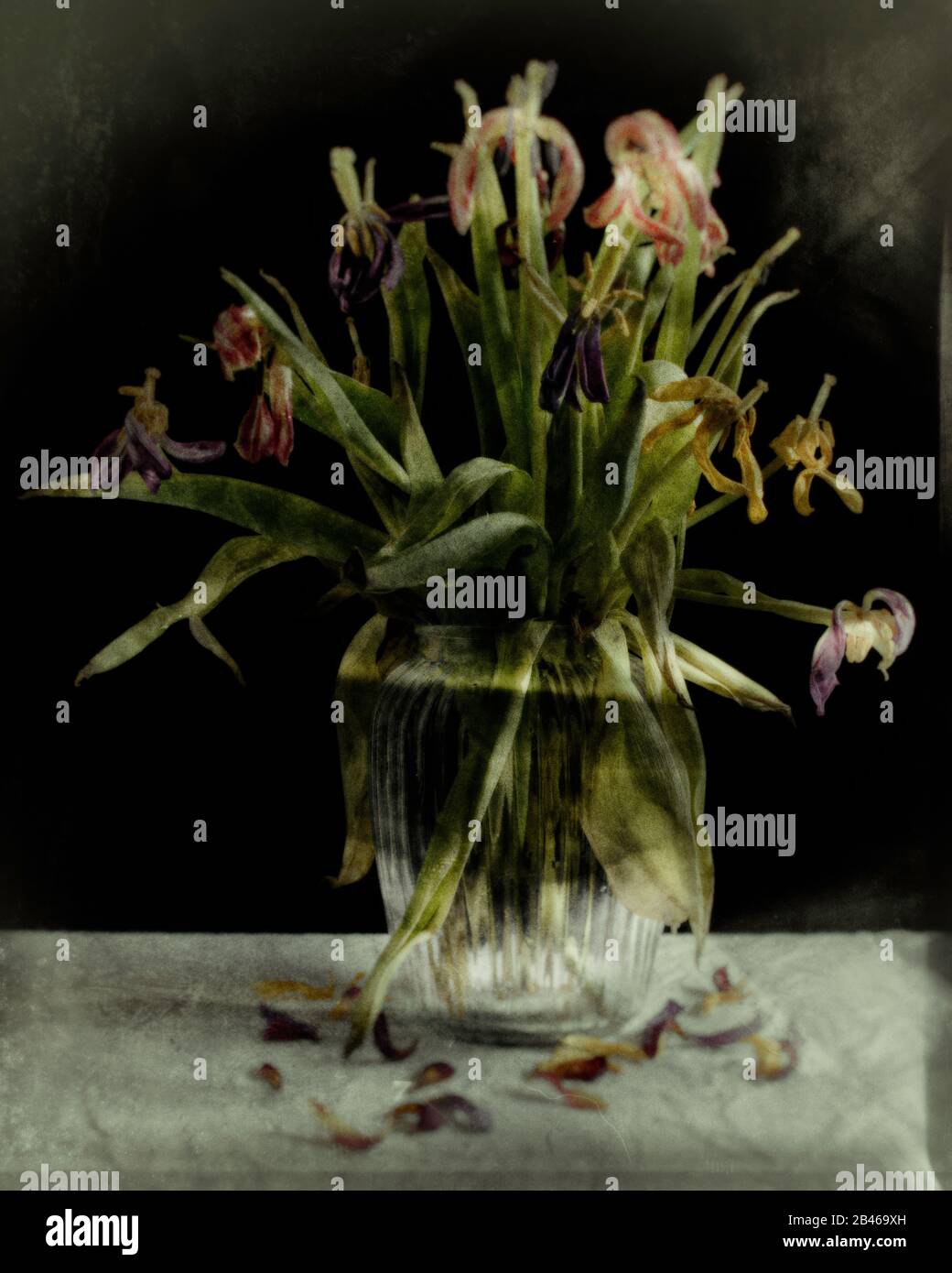 Dead_flowers hi-res stock photography and images - Alamy