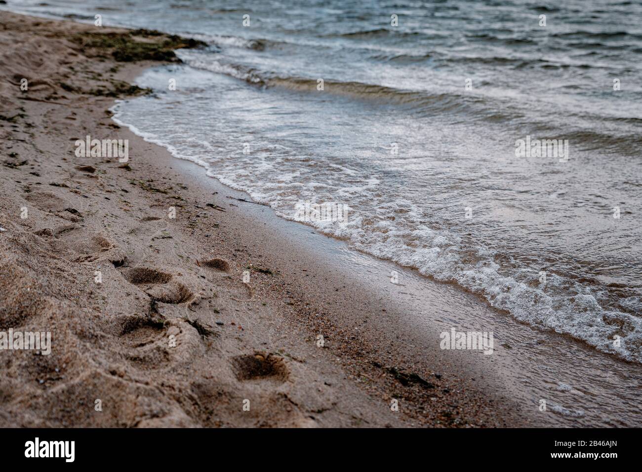 The beach in Rewa Stock Photo - Alamy