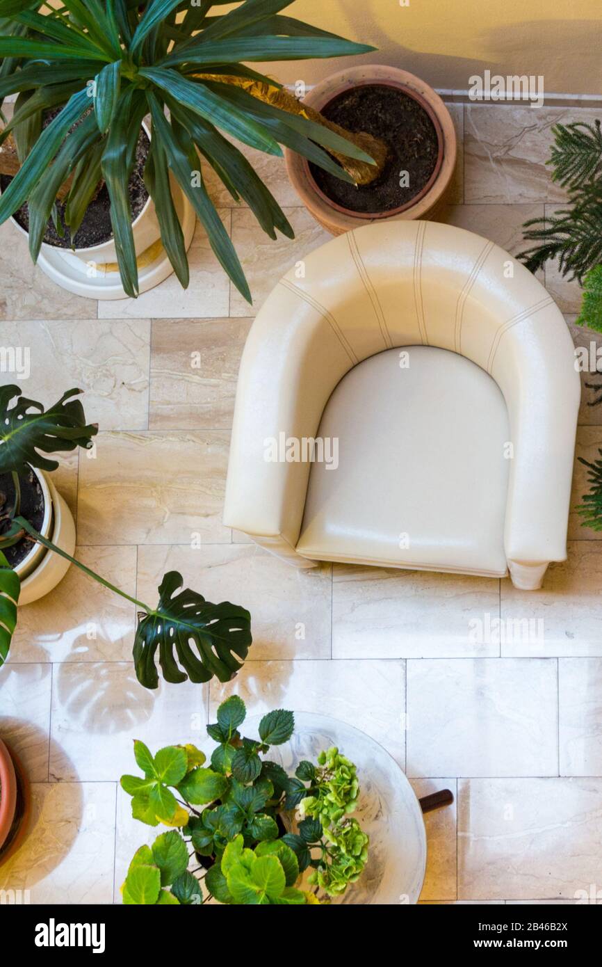 Clean, contemporary interiors with green plants shot from above Stock ...